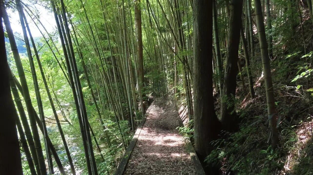 Nakasendo Trail Route Maps:The Best 5 Section - 【宿泊】民宿しまだ